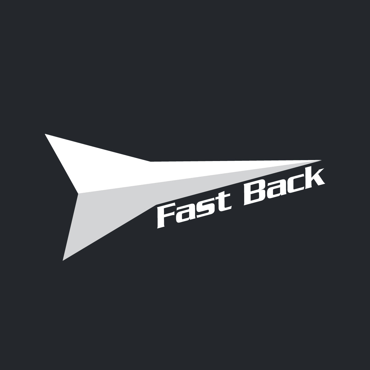 FAST BACK – 4NRanch